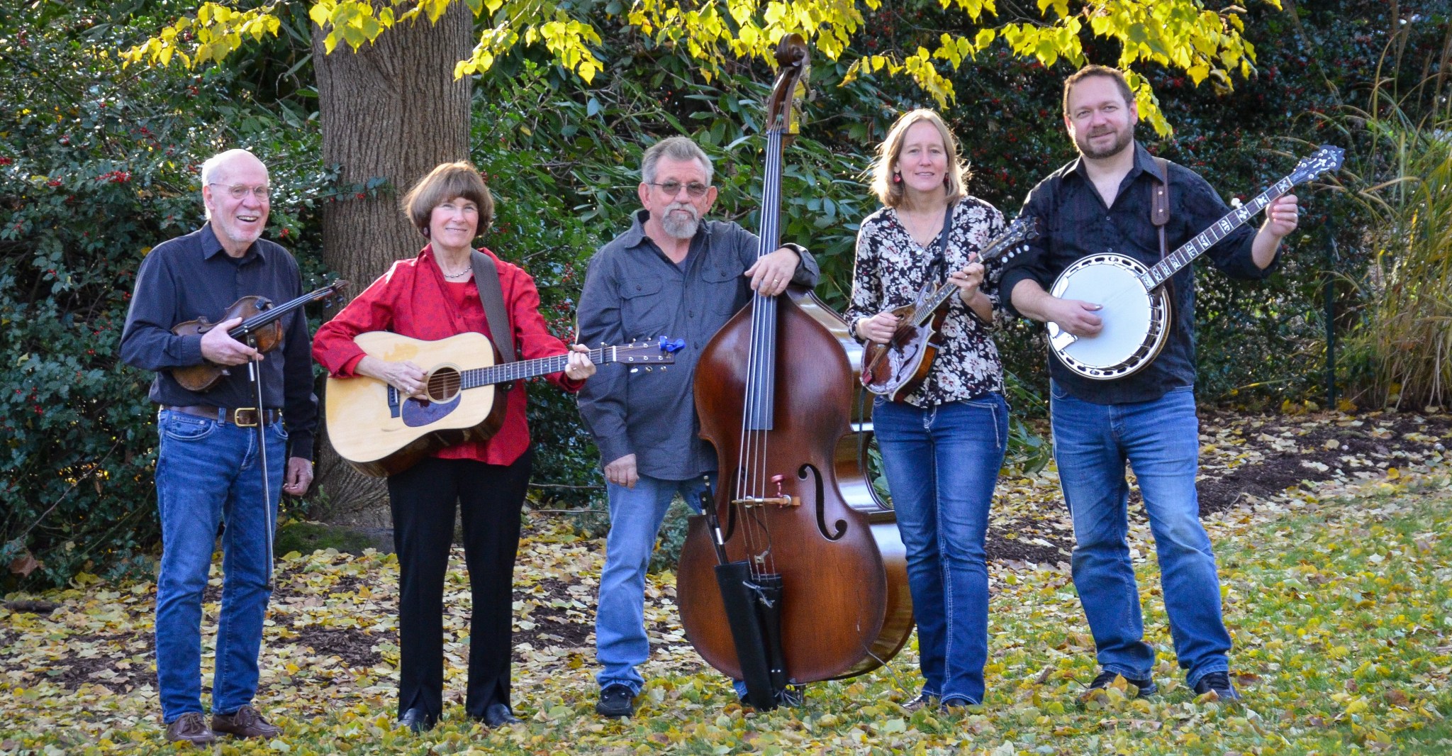 Connecticut Bluegrass Bands – Connecticut Bluegrass Association